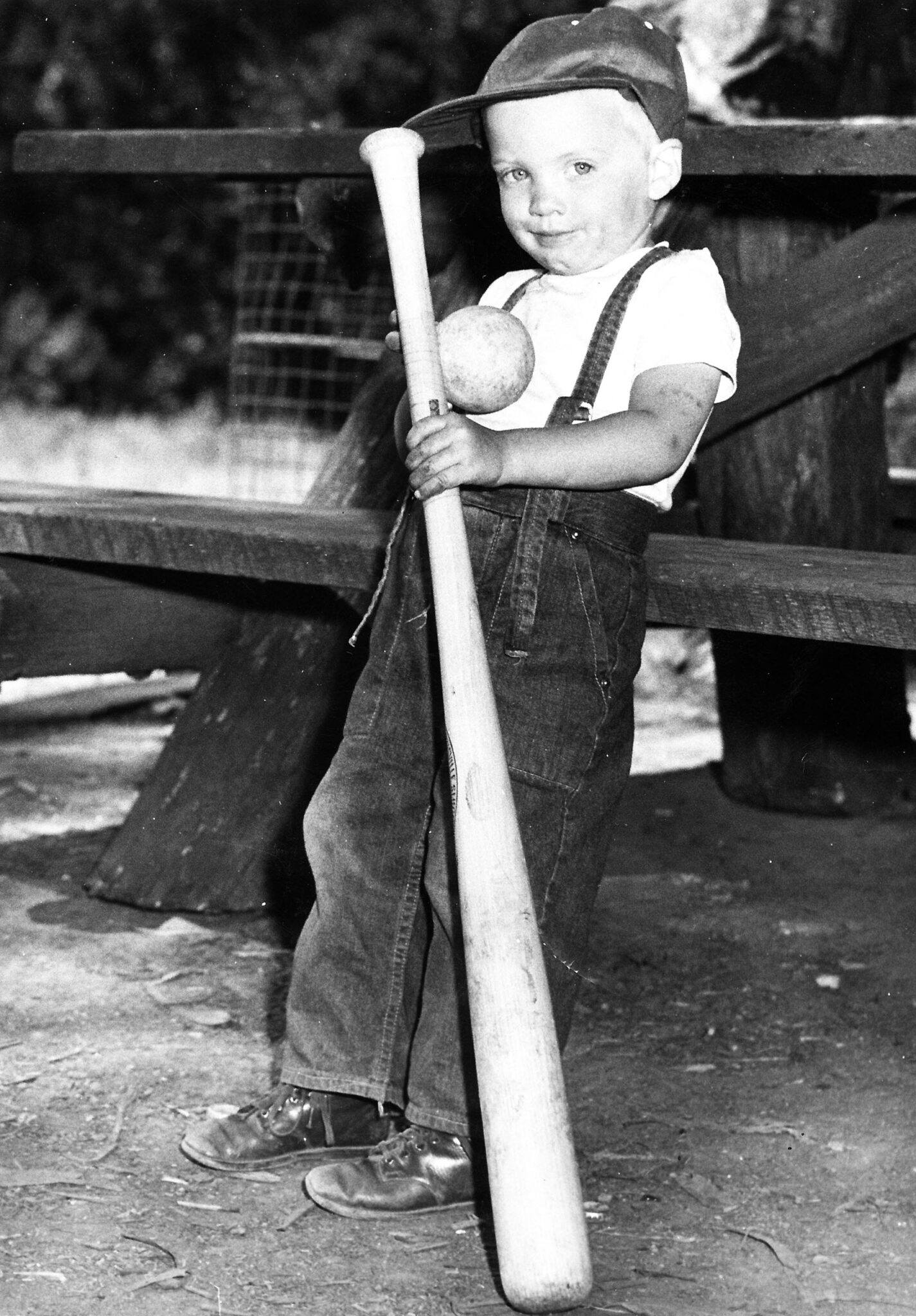 Biography – David Harris